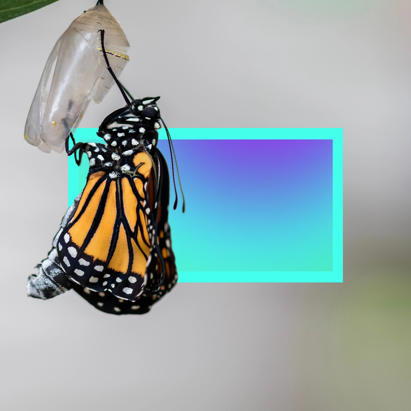 Stories of new beginnings