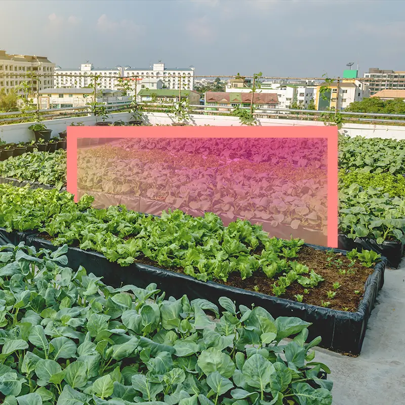 Meditative Story: How the natural world connects us all, with Indy ...